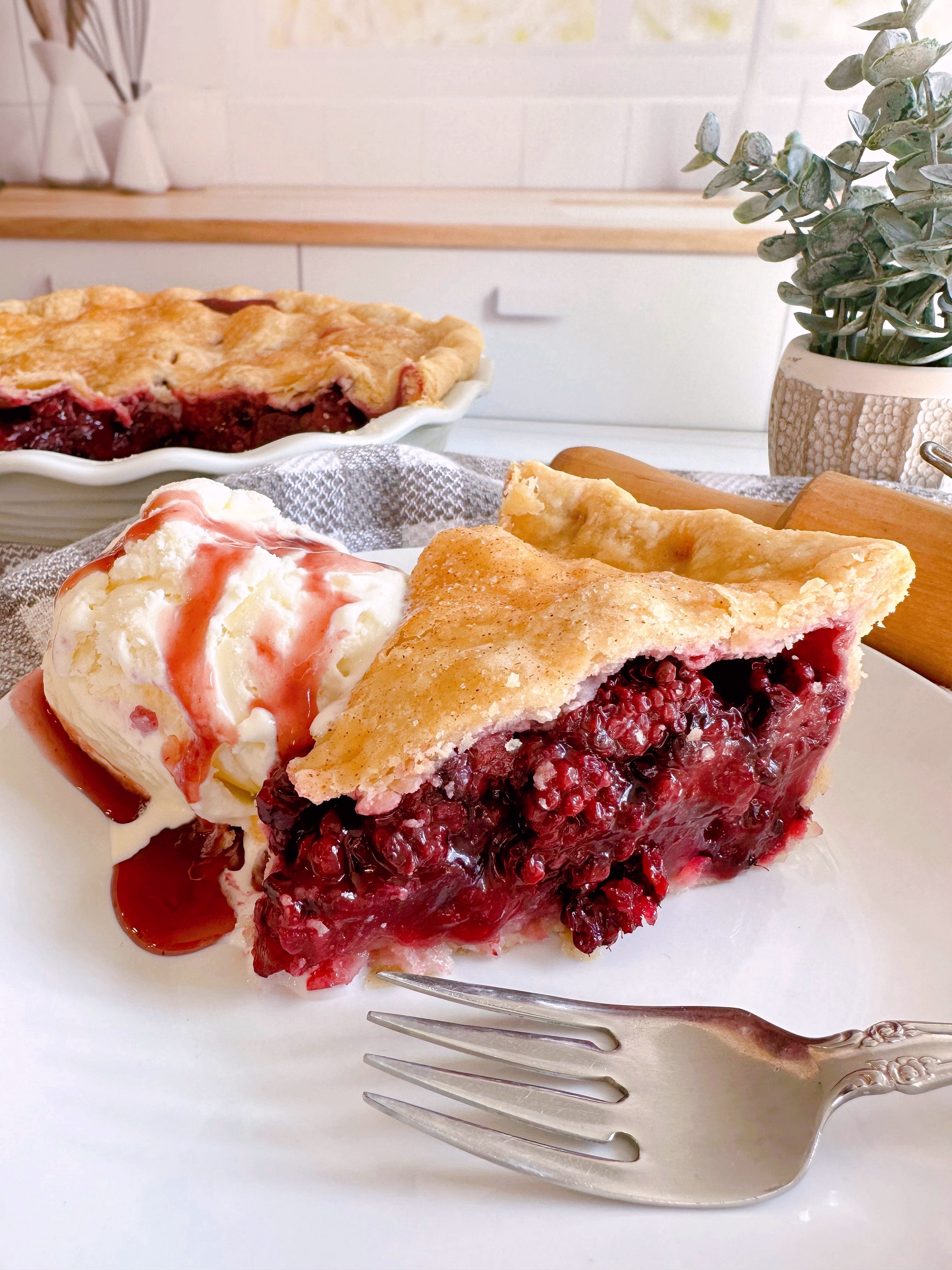 Fresh Homemade Blackberry Pie | Norine's Nest